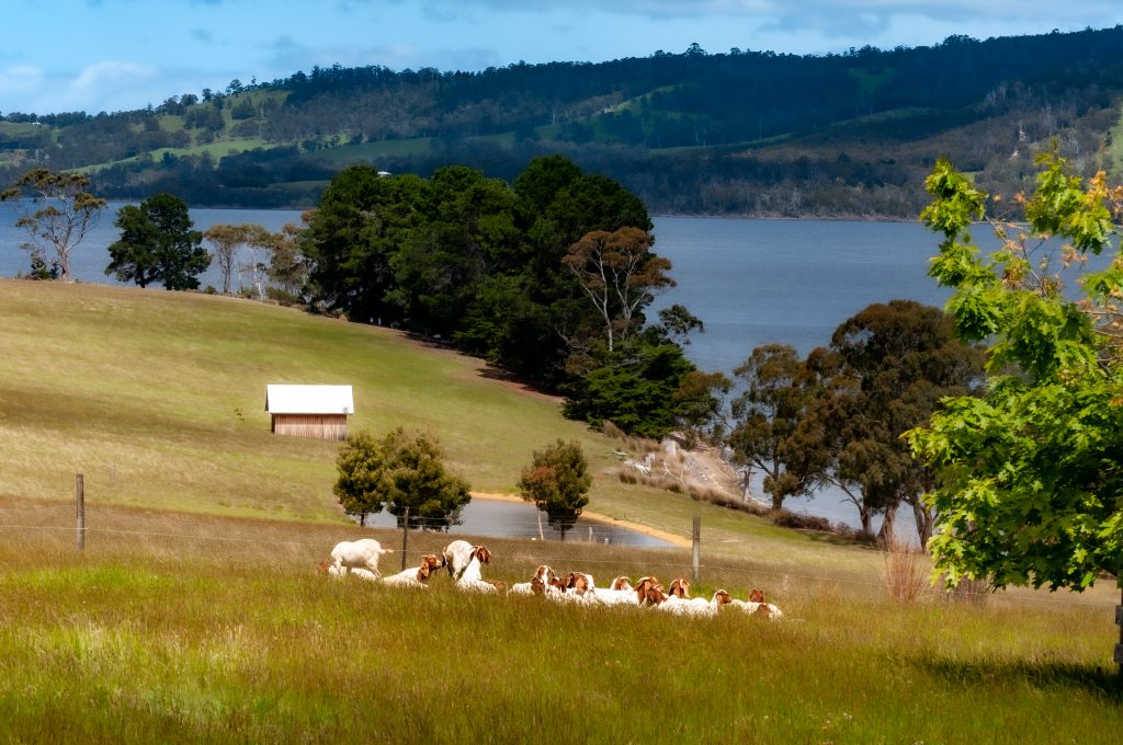 Beaupre Farm - Eat Well Tasmania