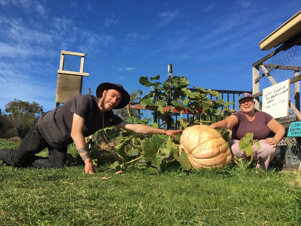 Okines Community Garden - Eat Well Tasmania
